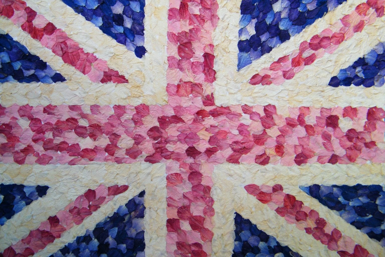 Delphinium petals union jack | Dried Flower Craft