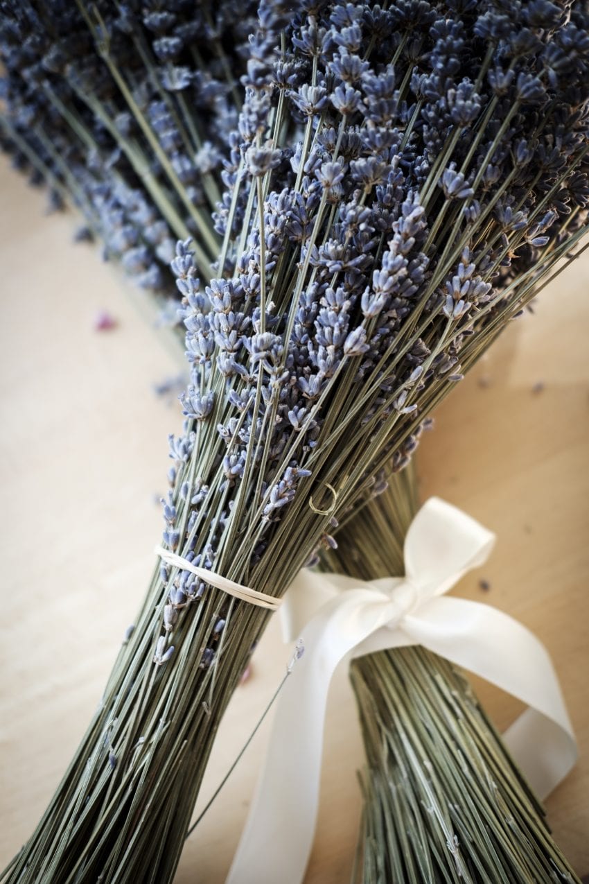 Photo shoot with dried flowers | Dried Flower Craft
