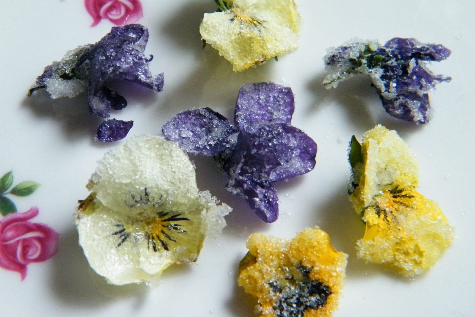 Making crystallised flowers | Dried Flower Craft