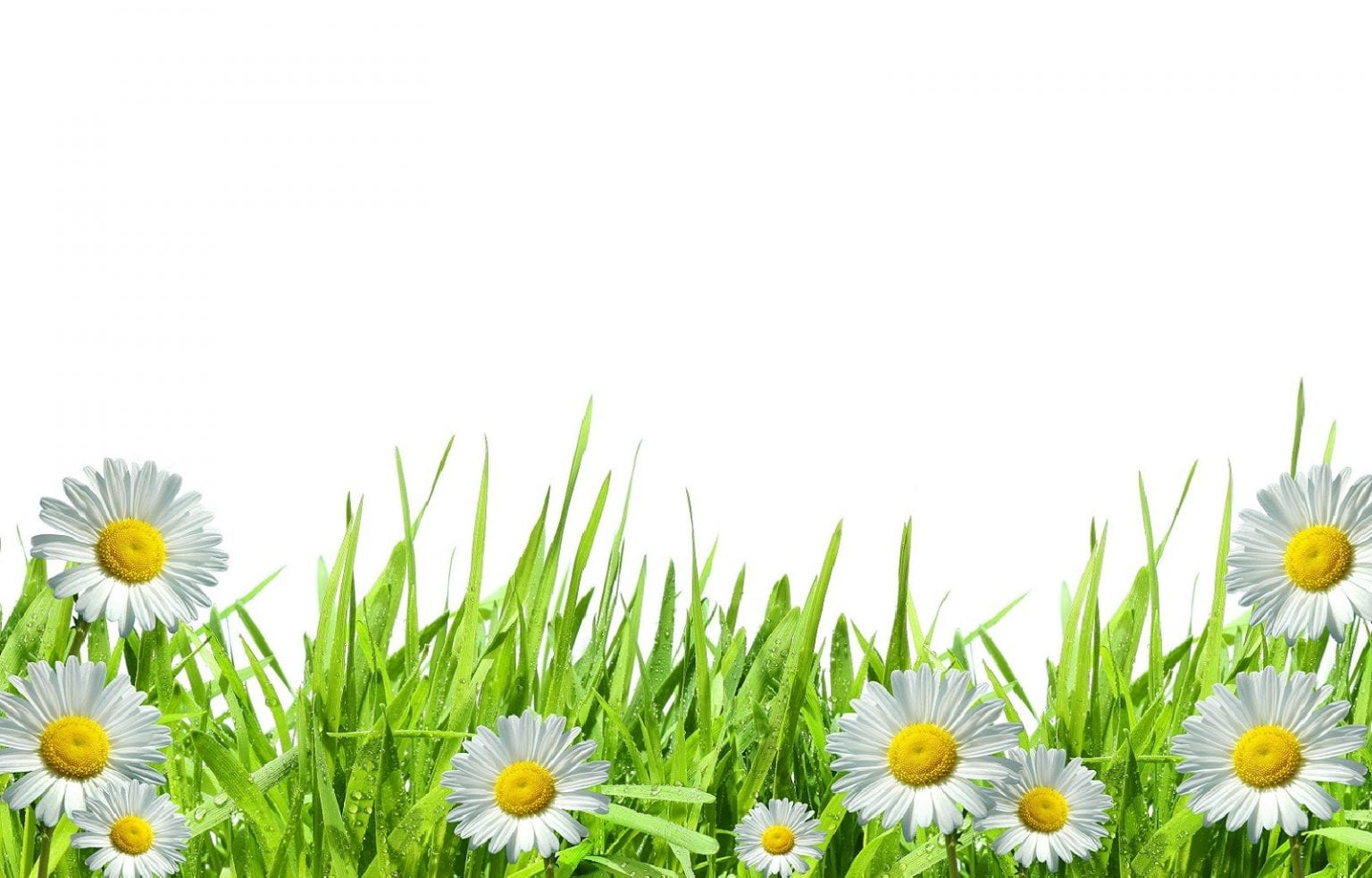 How to make your own potpourri | Dried Flower Craft