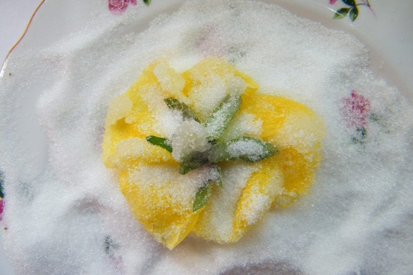 Making crystallised flowers | Dried Flower Craft
