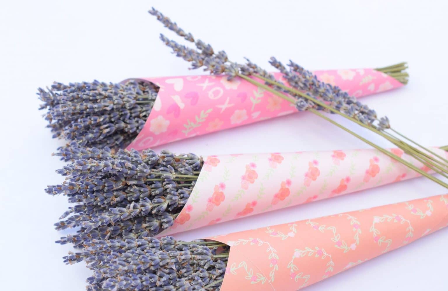 lavender flowers | Dried Flower Craft
