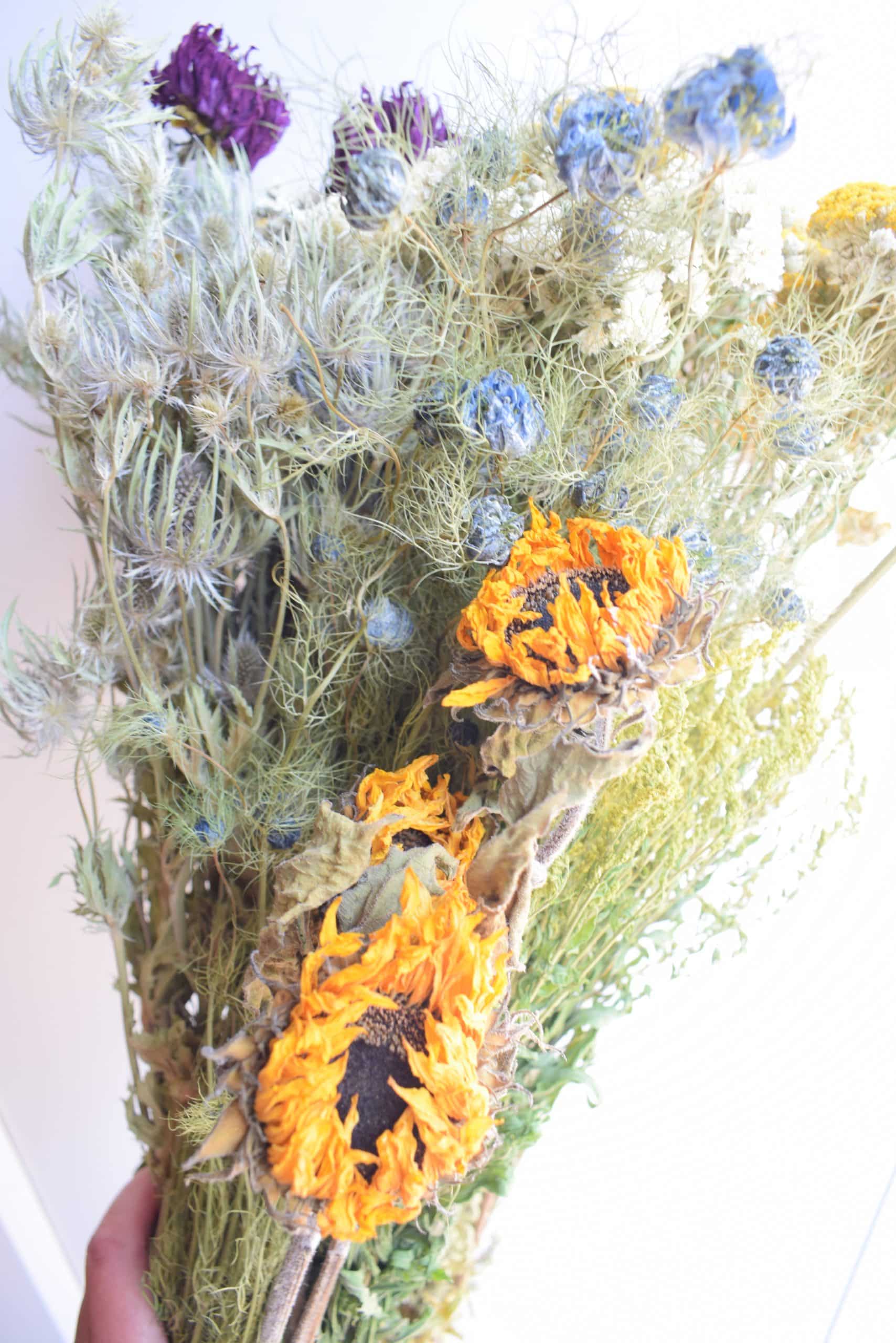 Drying flowers in our workshop | Dried Flower Craft