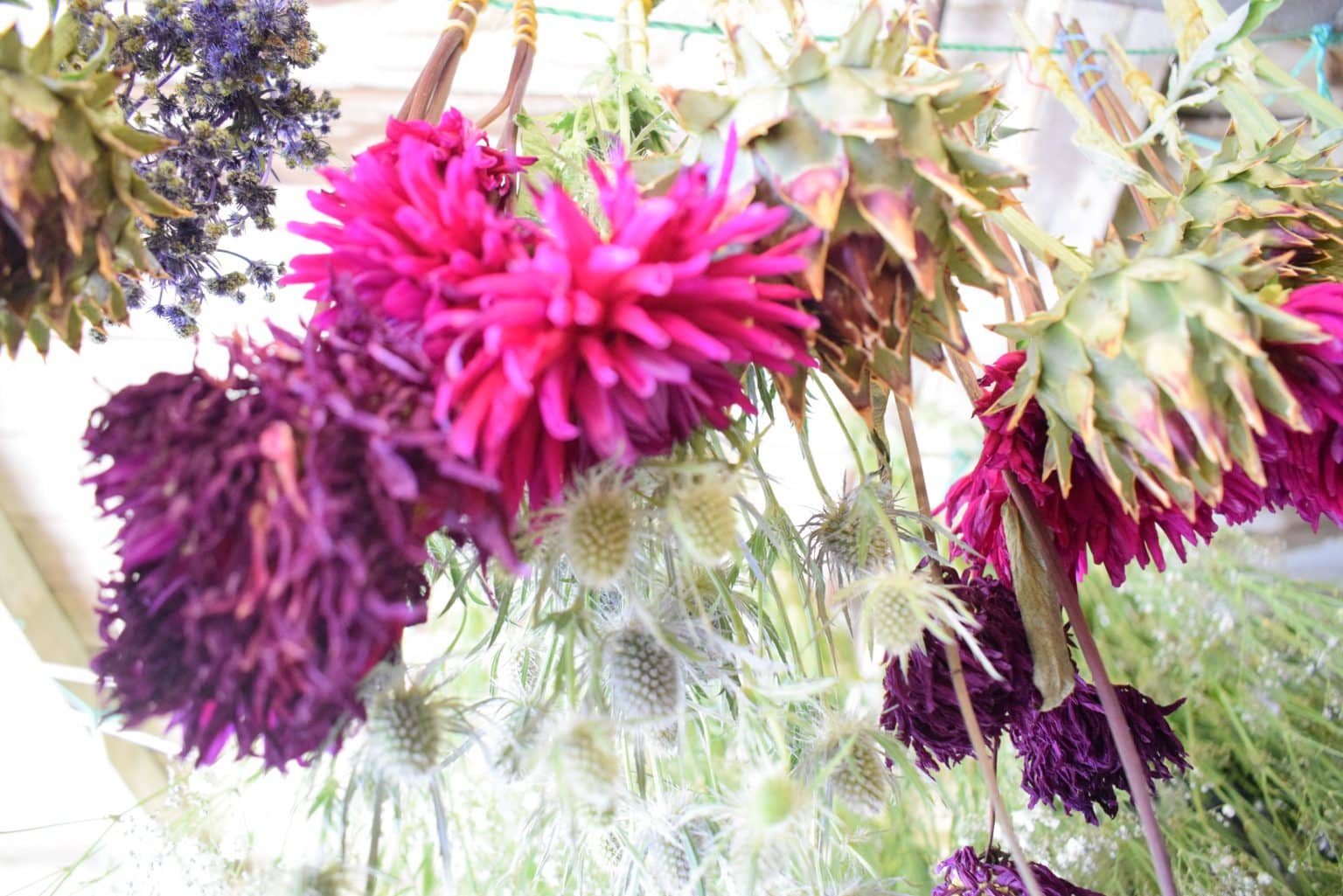 Drying flowers in our workshop | Dried Flower Craft