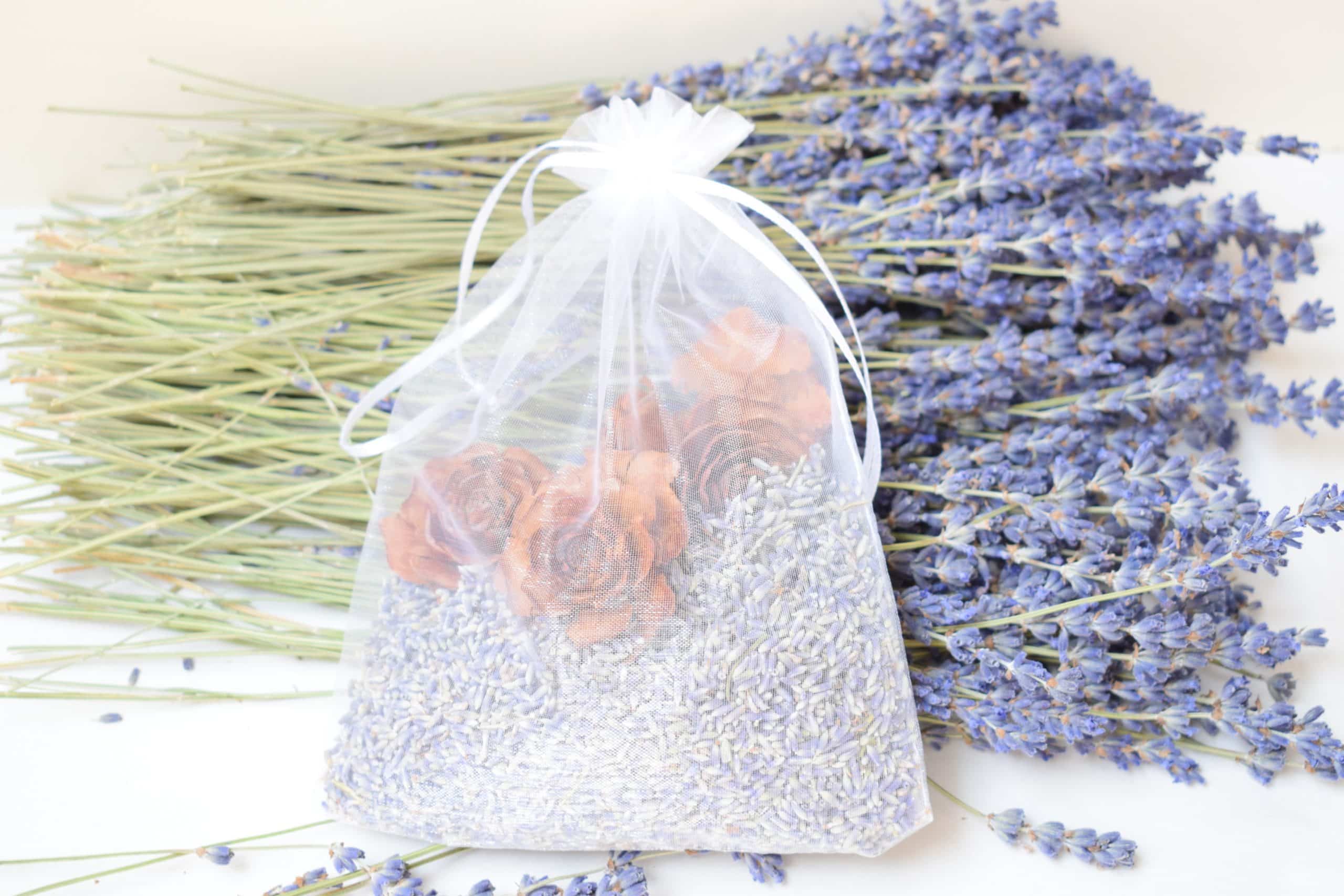 Natural moth repellents | Dried Flower Craft