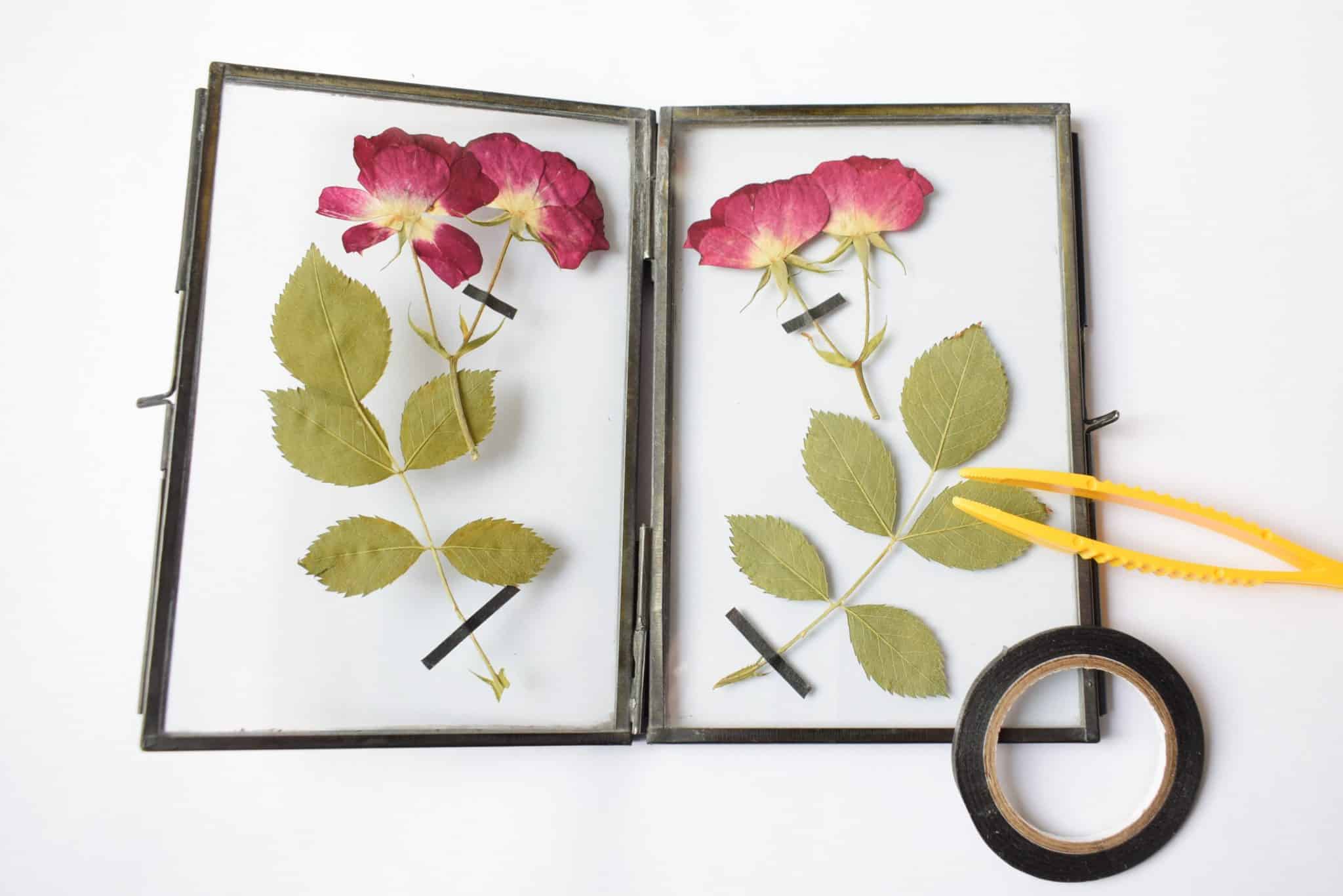 How to Frame Pressed Flowers | Dried Flower Craft