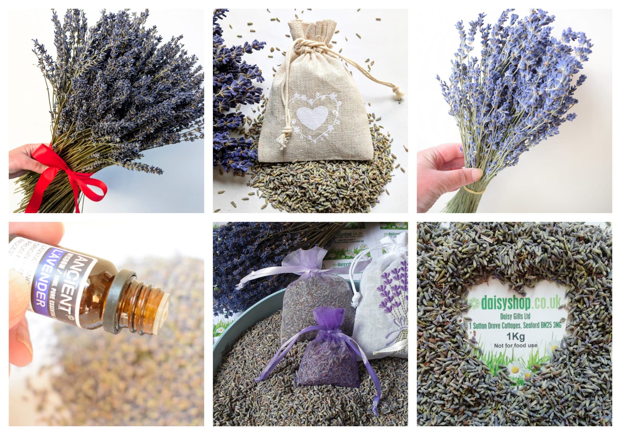 Dried lavender questions answered | Dried Flower Craft